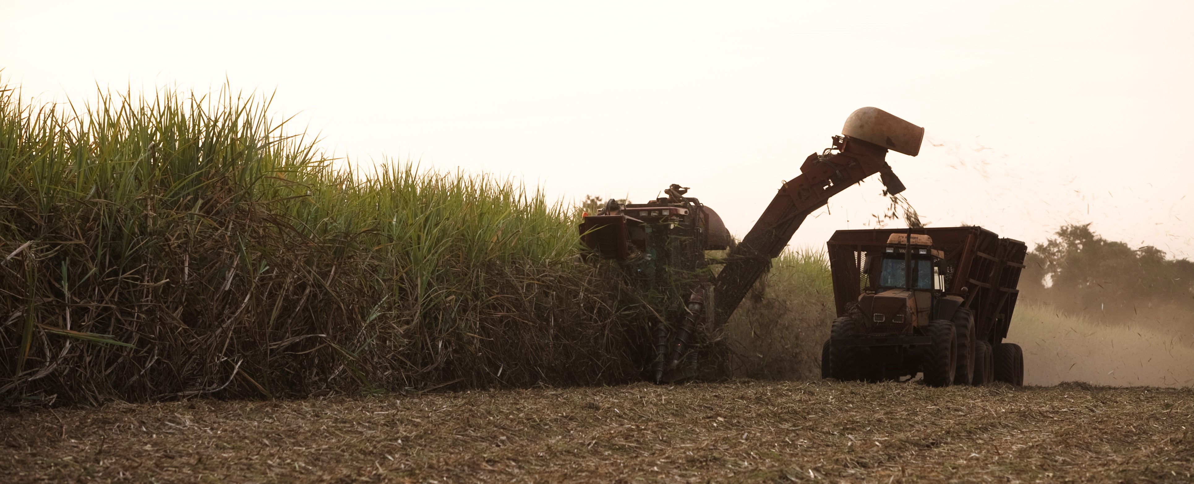 Por que fazer upgrade para o PIMS Sucroenergético 12.1.22? - Produtos TOTVS